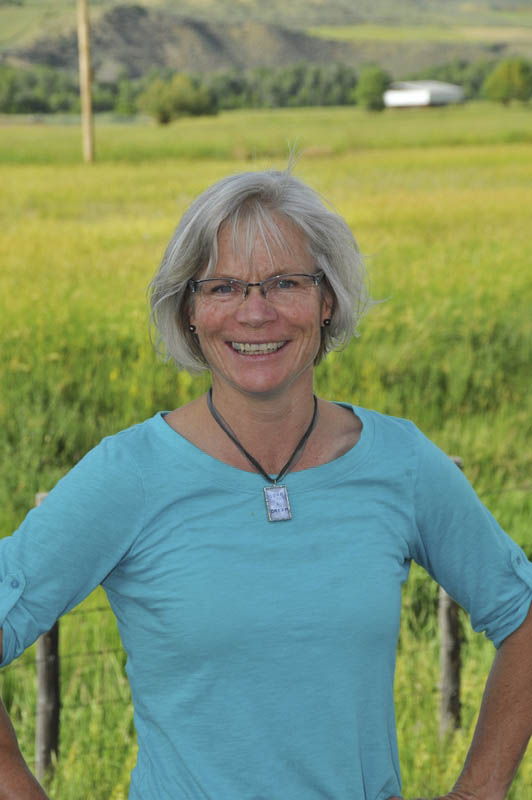Four running for two open Hayden School Board seats | CraigDailyPress.com