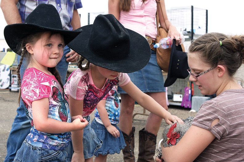 2010 Moffat County Fair | CraigDailyPress.com