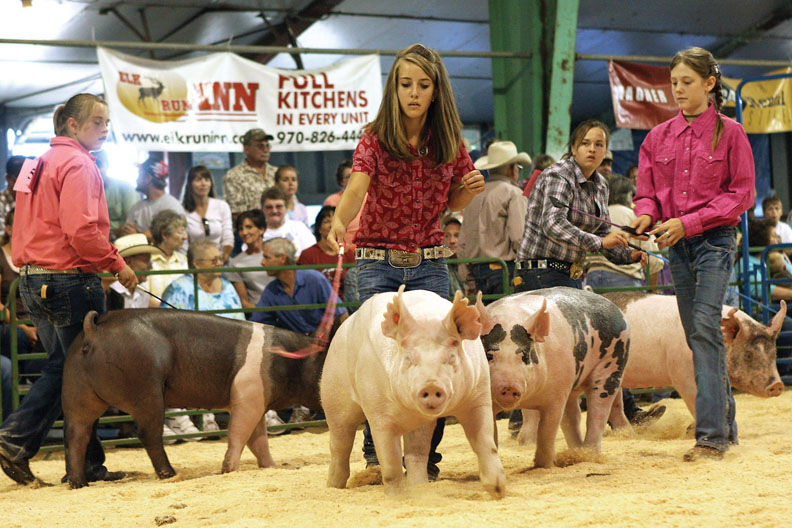 2010 Moffat County Fair | CraigDailyPress.com