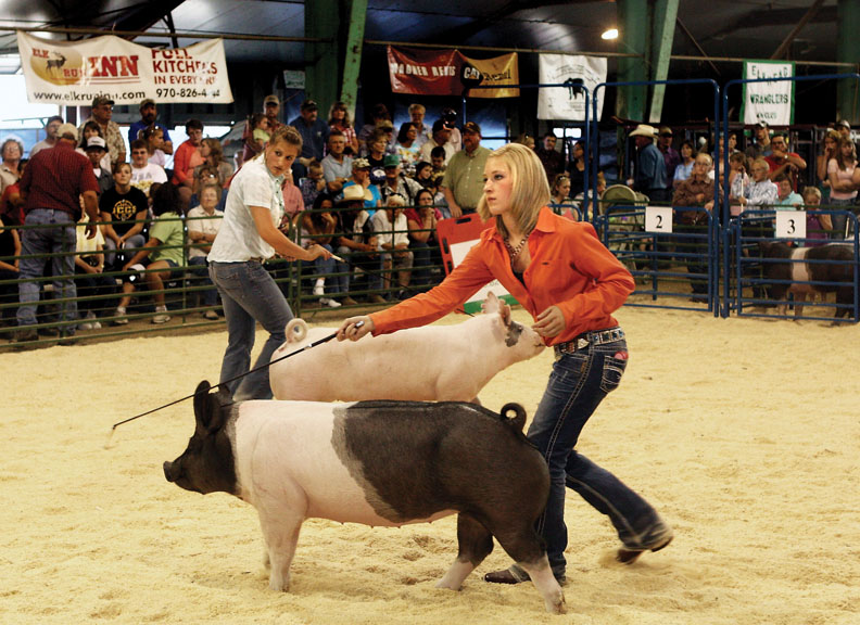 2010 Moffat County Fair | CraigDailyPress.com