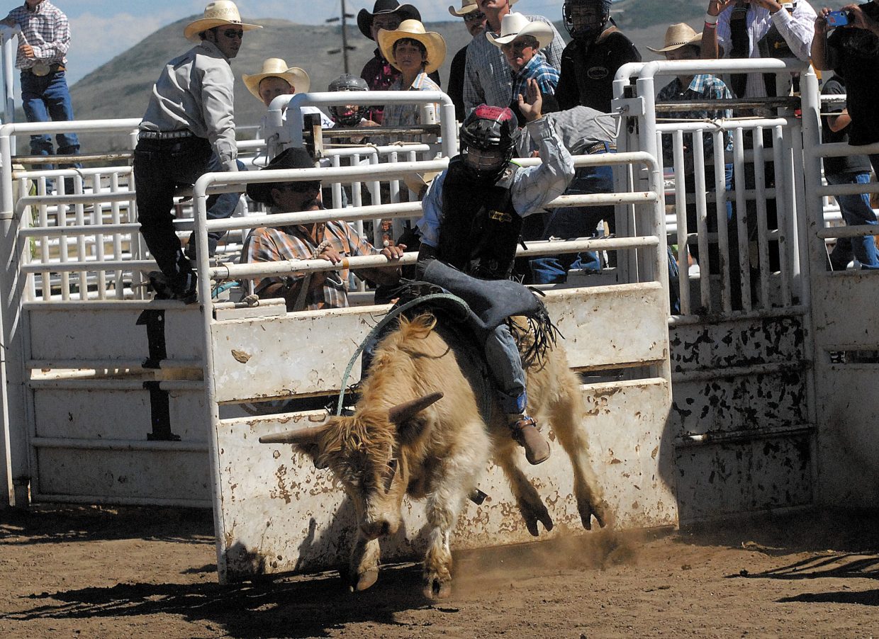 Miniature Bull Riding at 2010 Moffat County Fair | CraigDailyPress.com