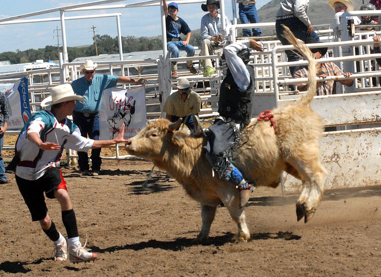 Miniature Bull Riding at 2010 Moffat County Fair | CraigDailyPress.com