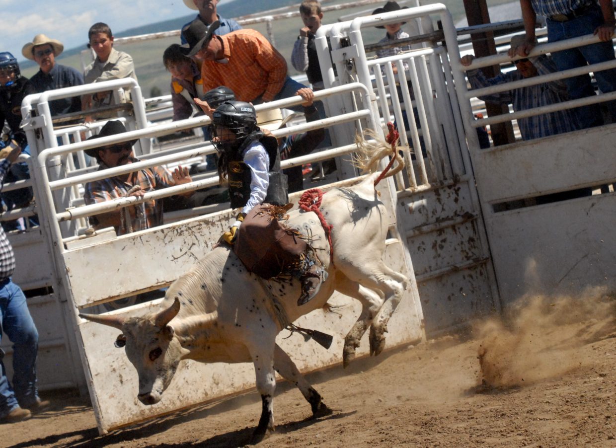 Miniature Bull Riding at 2010 Moffat County Fair | CraigDailyPress.com