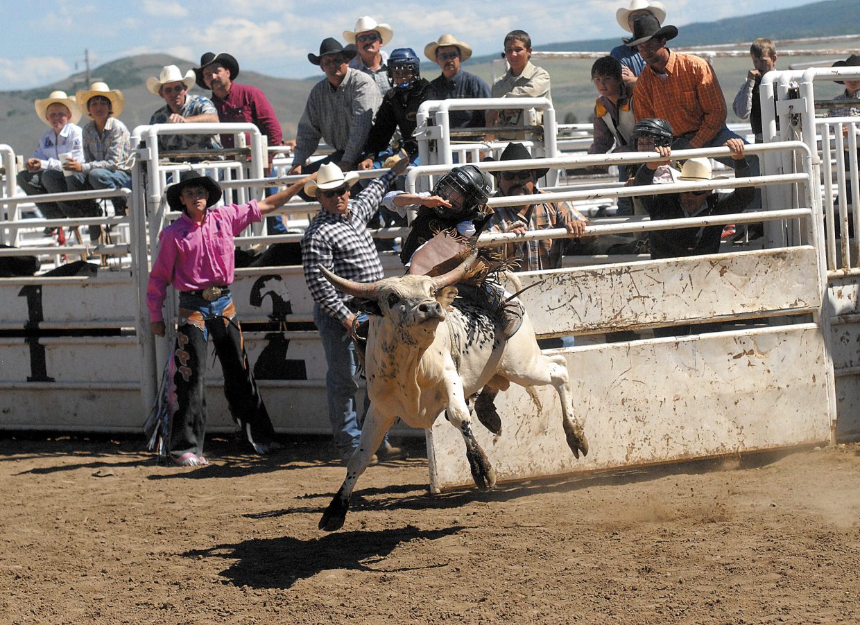 Miniature Bull Riding at 2010 Moffat County Fair | CraigDailyPress.com