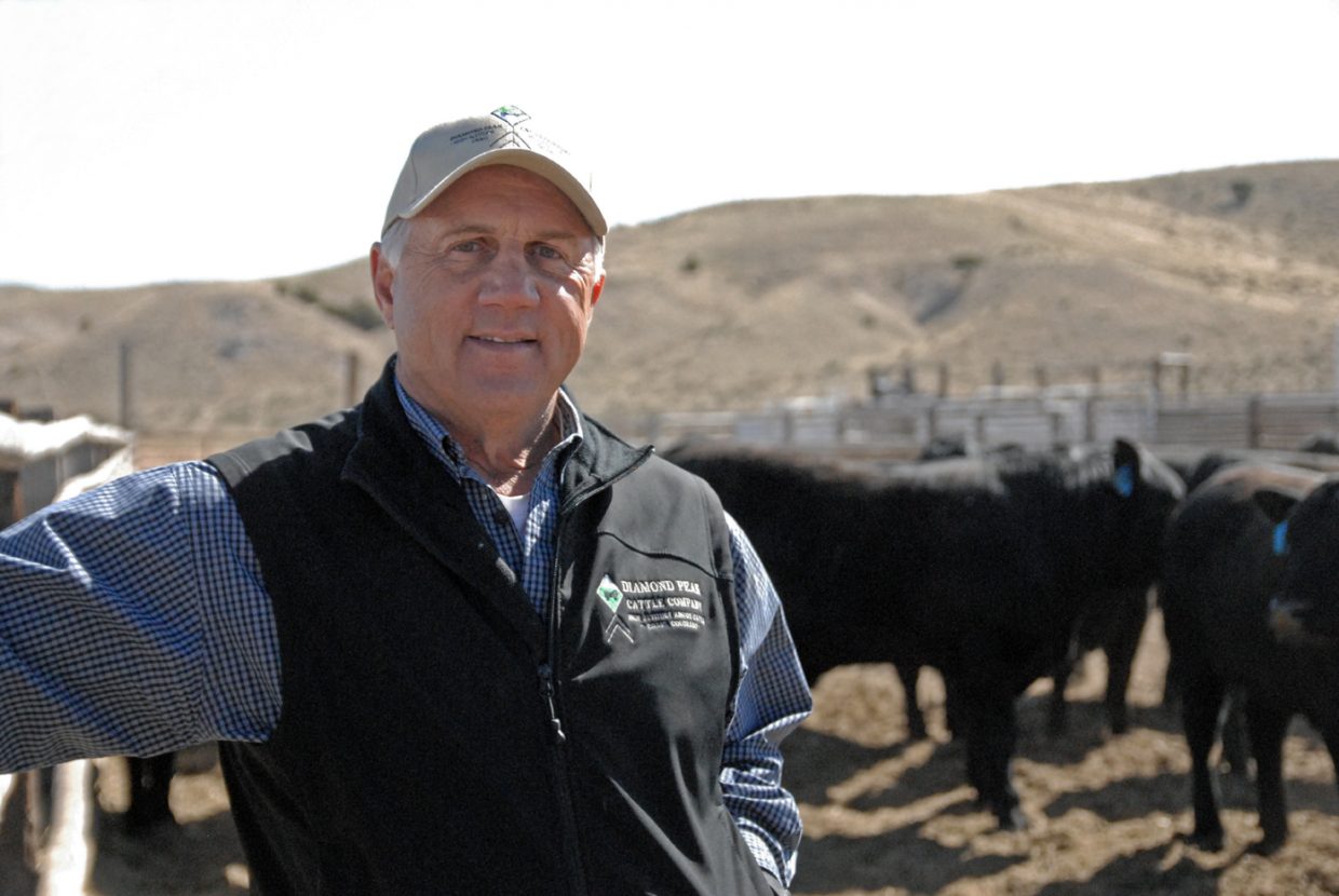 John Raftopoulos’s Angus bull program recognized as best in the state ...