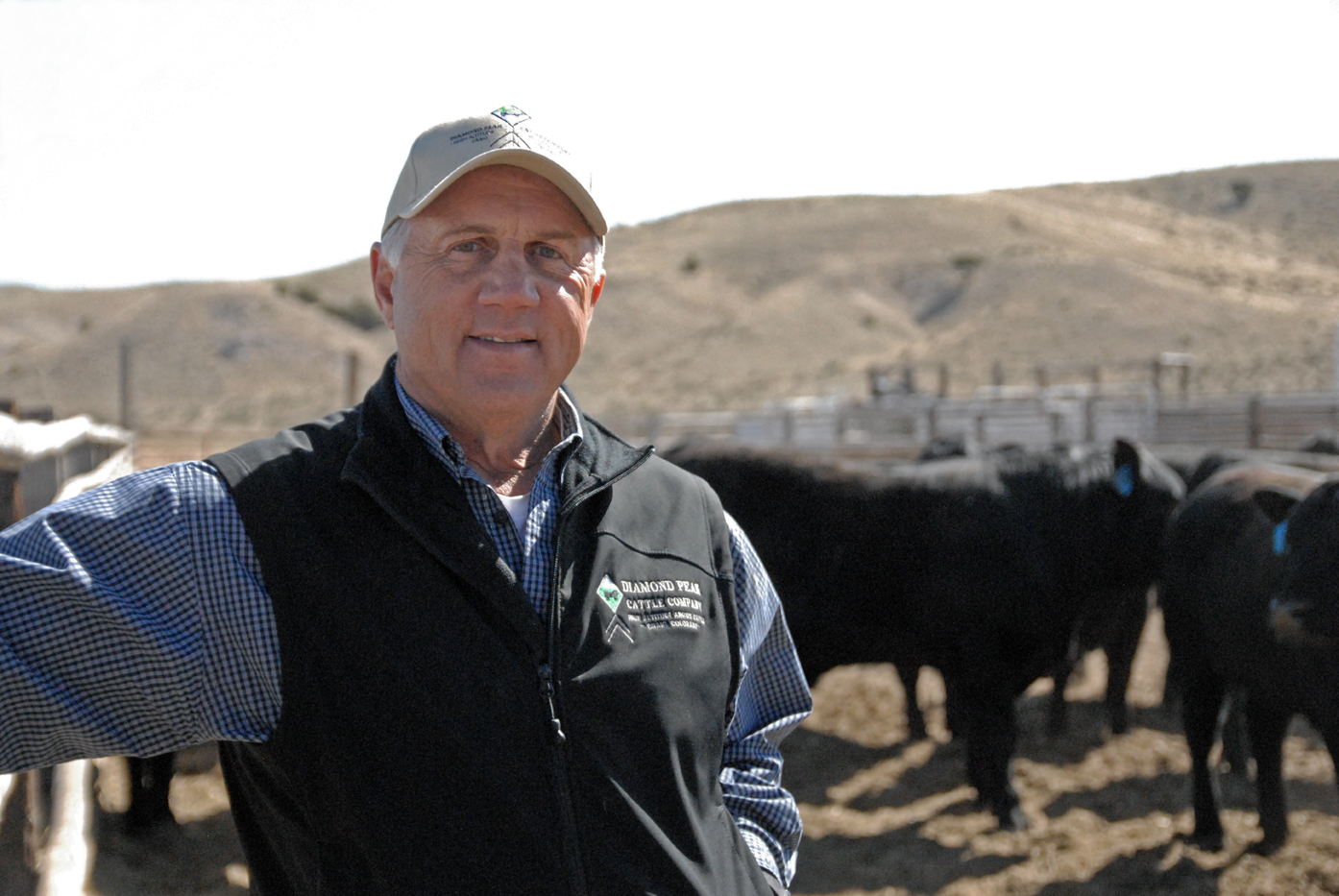 John Raftopoulos’s Angus bull program recognized as best in the state ...