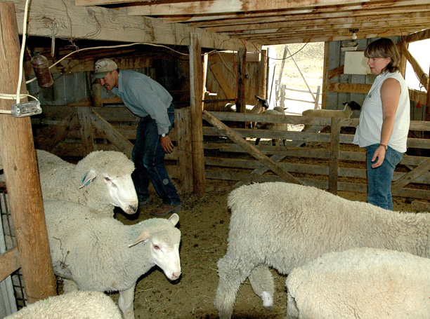 Quality in the fibers | CraigDailyPress.com