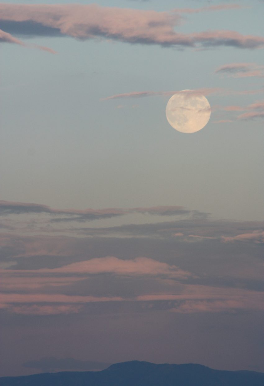 Your Community Snapshots for Sept. 26, 2011 | CraigDailyPress.com