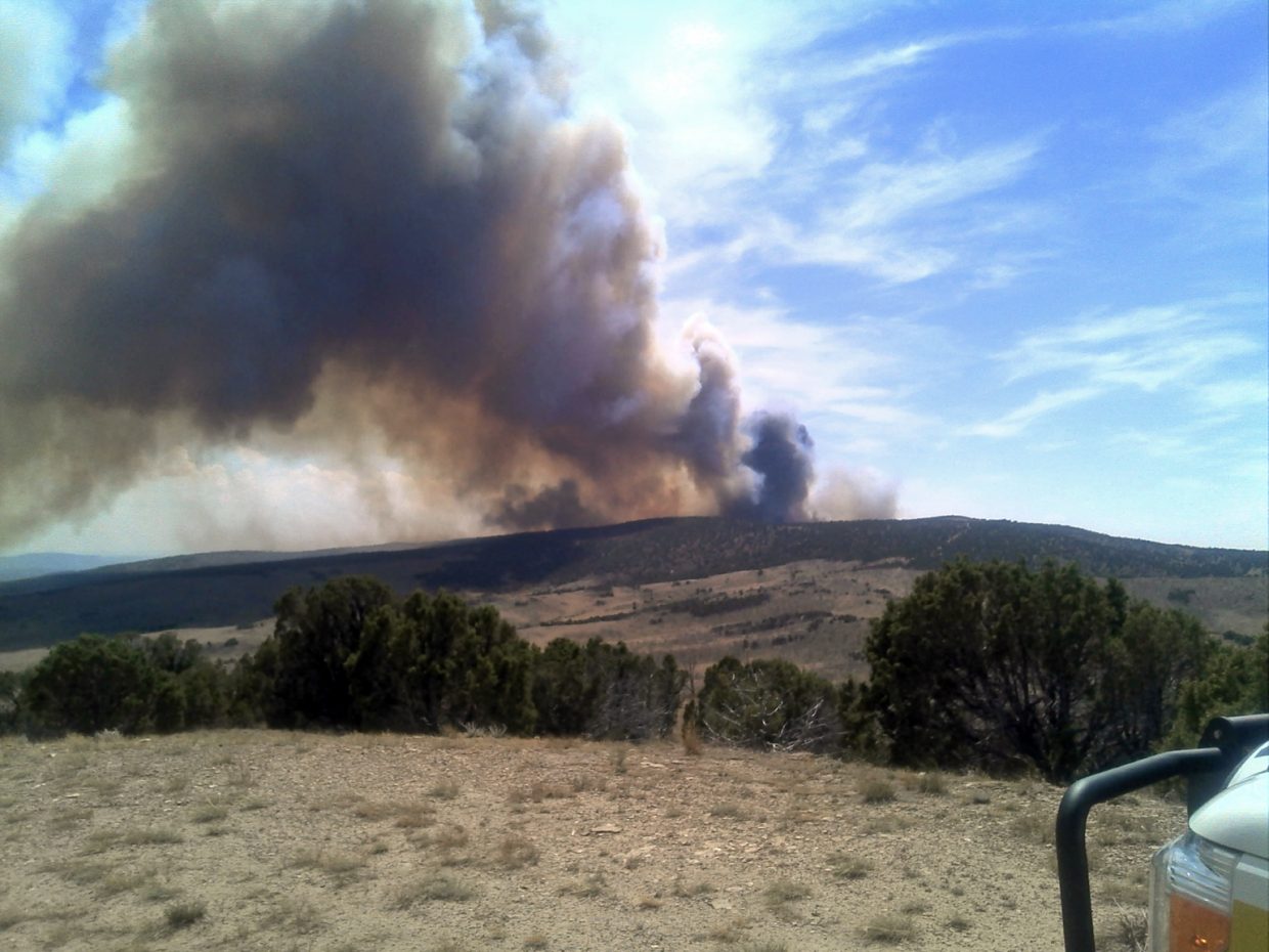 Wolf Fire swells to 6,100 acres | CraigDailyPress.com