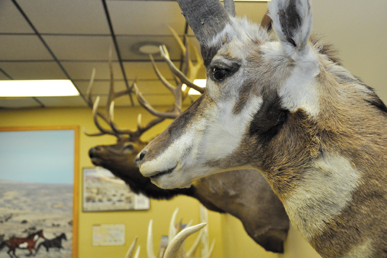 Moffat County Tourism Association new offices | CraigDailyPress.com