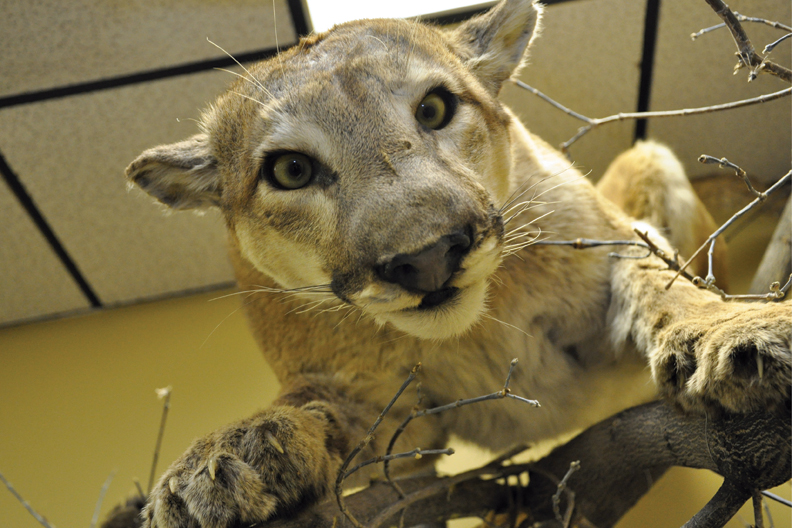 Moffat County Tourism Association new offices | CraigDailyPress.com