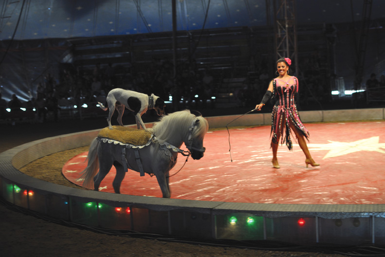 Carson and Barnes Circus in Craig | CraigDailyPress.com