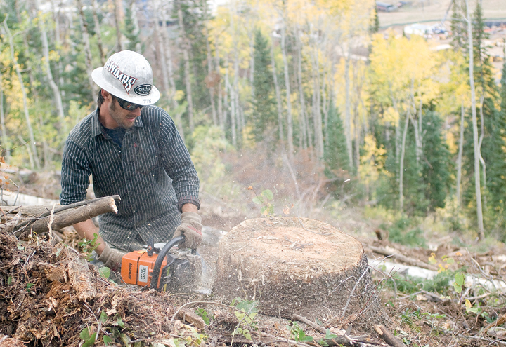 Logging of ski slopes under way | CraigDailyPress.com