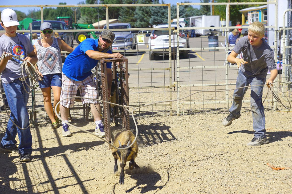 Goat Roping at the 2016 Moffat County Fair | CraigDailyPress.com