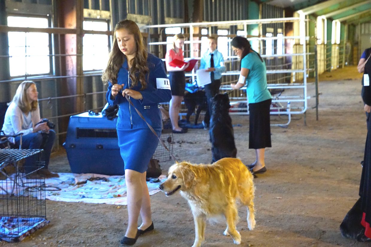 Moffat County 4-H Dog Show | CraigDailyPress.com