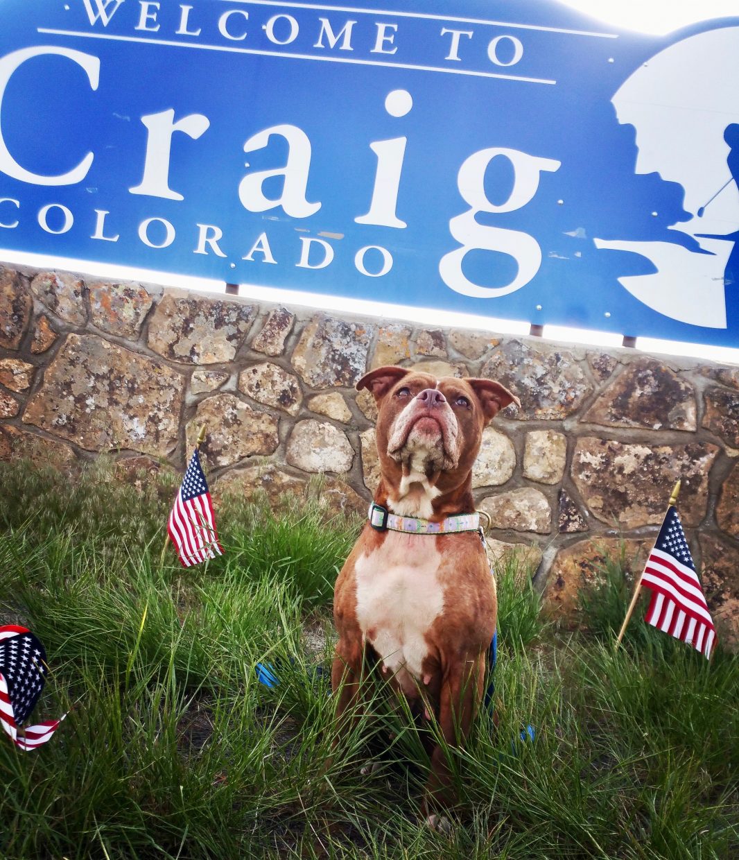 GALLERY: Photos from around town | CraigDailyPress.com