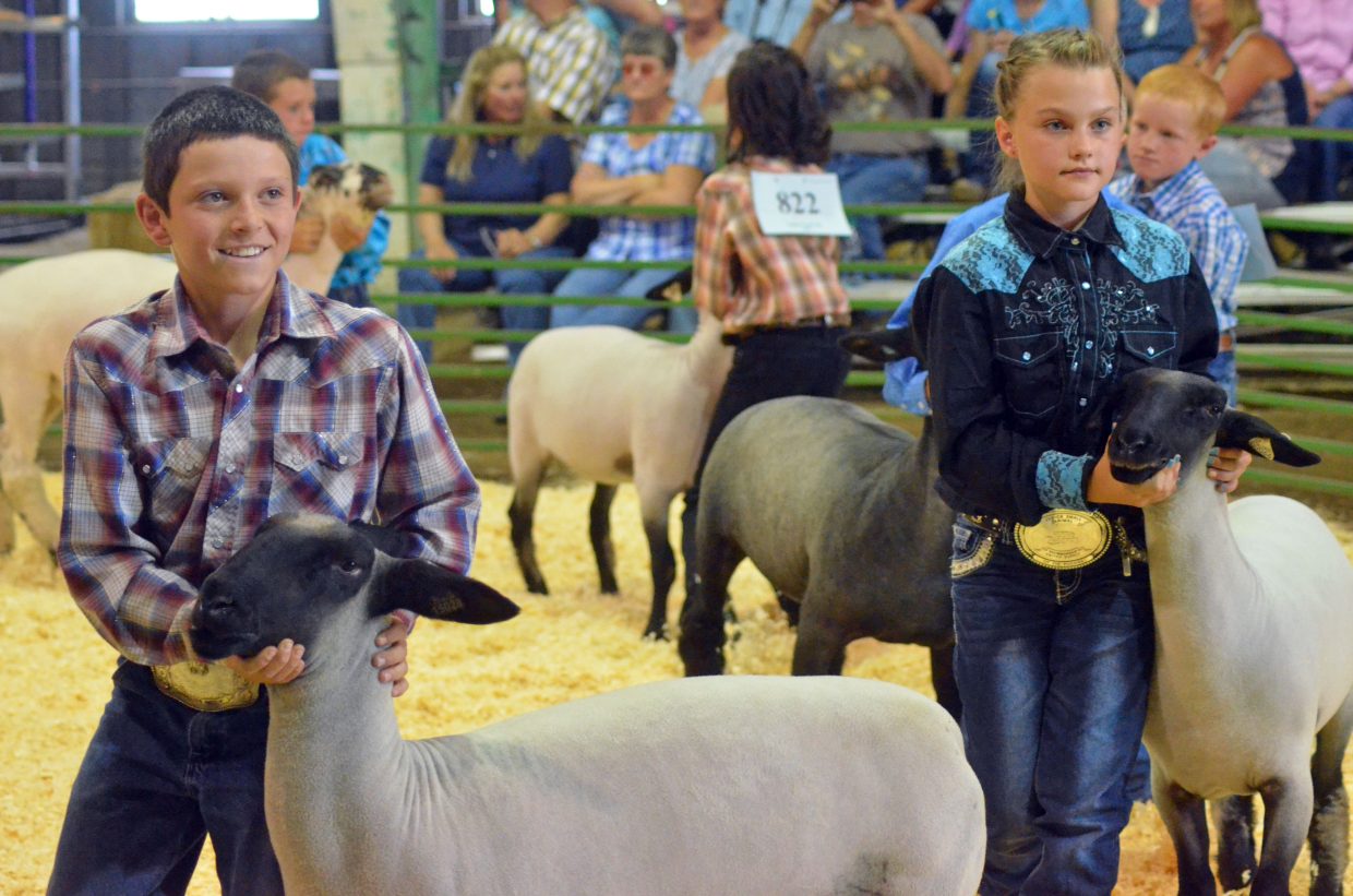 Moffat County Fair — Part 1 | CraigDailyPress.com
