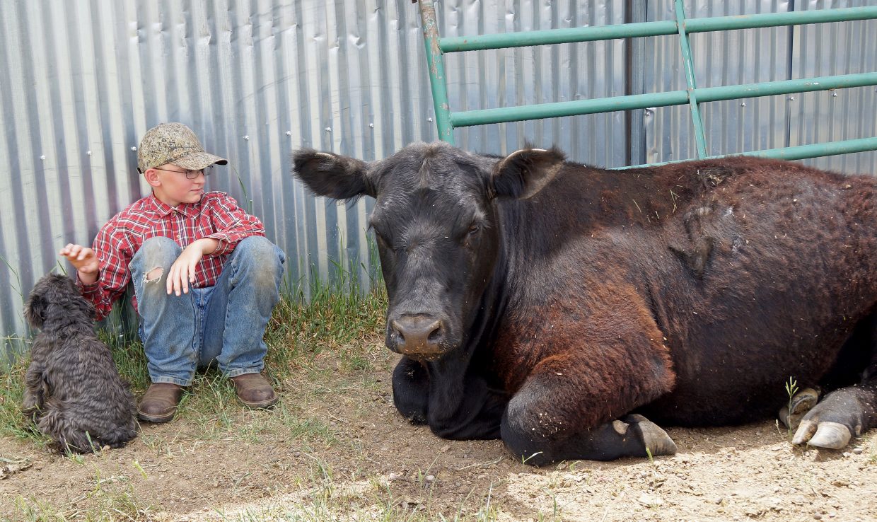 4-H kids learn skills and have fun raising livestock | CraigDailyPress.com