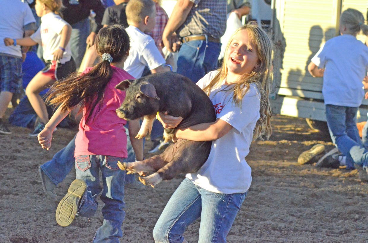 Catch-a-Pig brings squeals and thrills to fairgrounds | CraigDailyPress.com