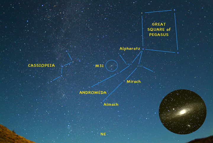 Jimmy Westlake: Welcome to Milkdromeda | CraigDailyPress.com