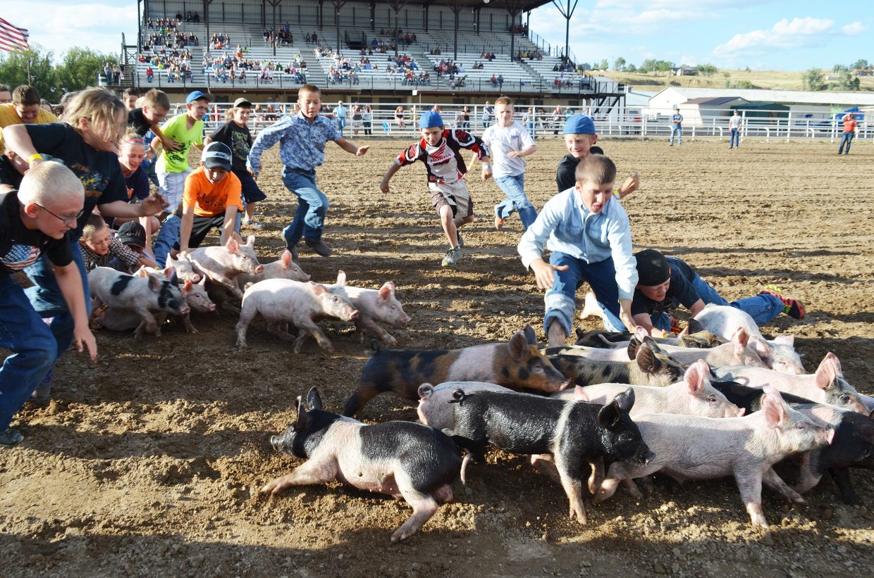 Moffat County Fair 2014 | CraigDailyPress.com