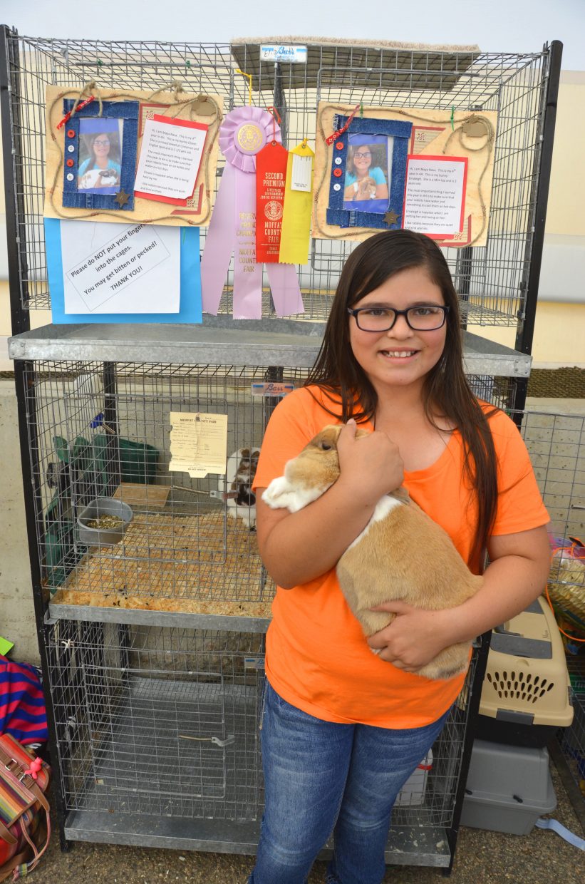 Moffat County Fair 2014 | CraigDailyPress.com