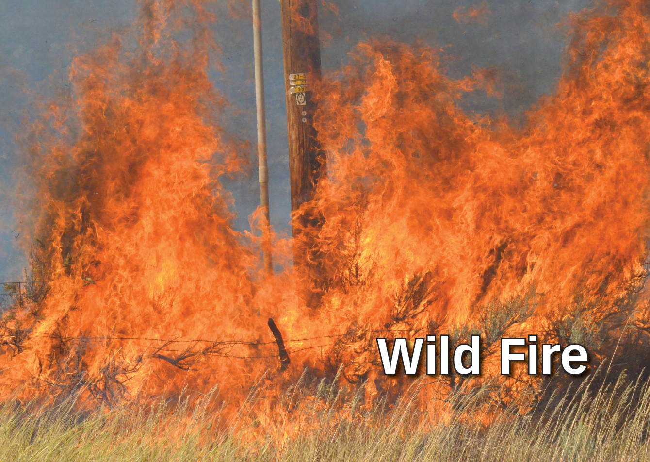 New wildfire, Torso Creek Fire, reported in North Routt county ...
