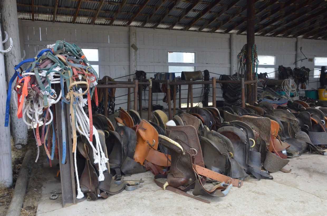 Sombrero Ranches Great American Horse Drive 2014 | CraigDailyPress.com