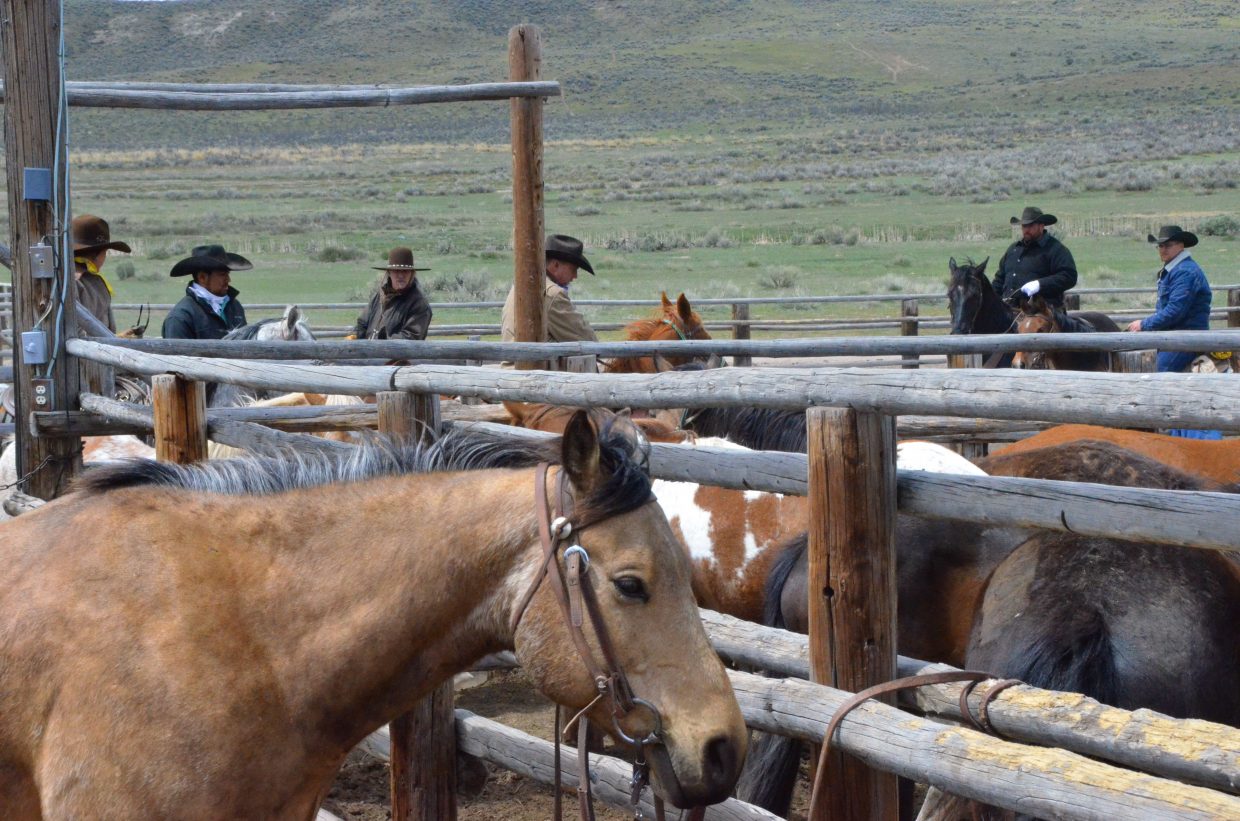 Sombrero Ranches Great American Horse Drive 2014 | CraigDailyPress.com