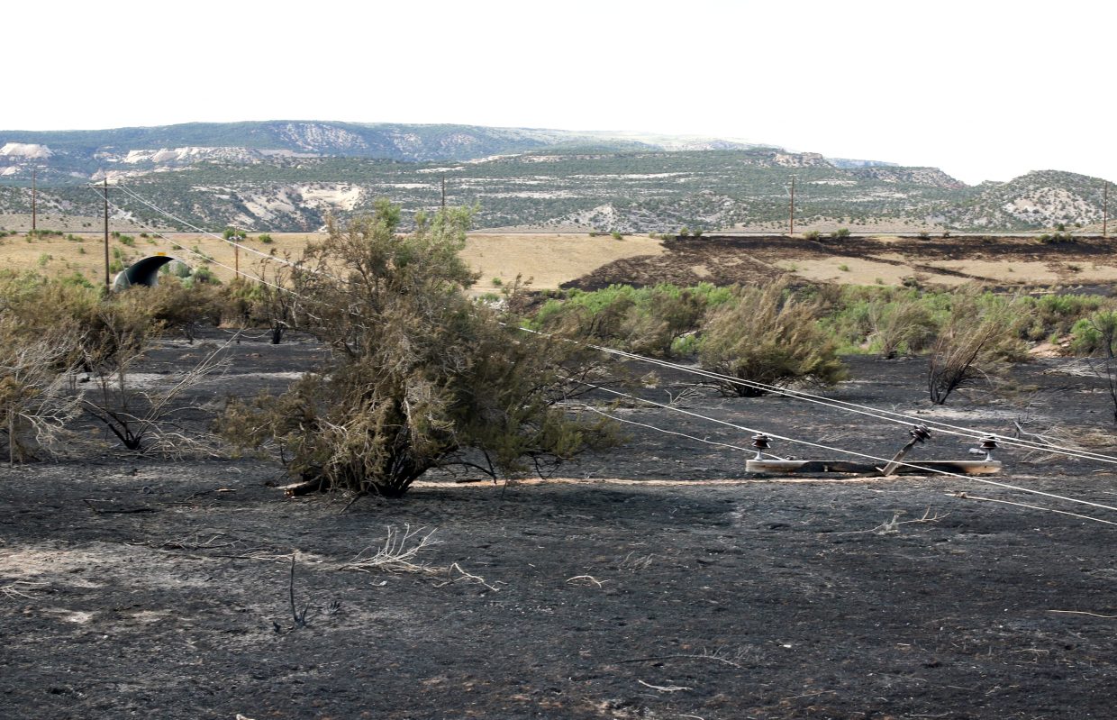 UPDATED: Dead Dog Fire nears 100 percent containment | CraigDailyPress.com