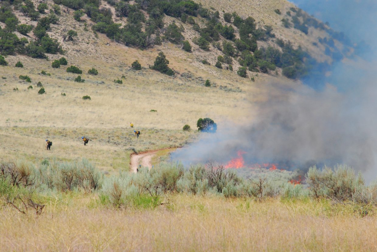 Peekaboo fire grows to 8,000 acres | CraigDailyPress.com