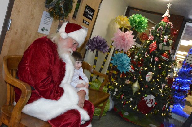Festival of Trees is taking registration | CraigDailyPress.com