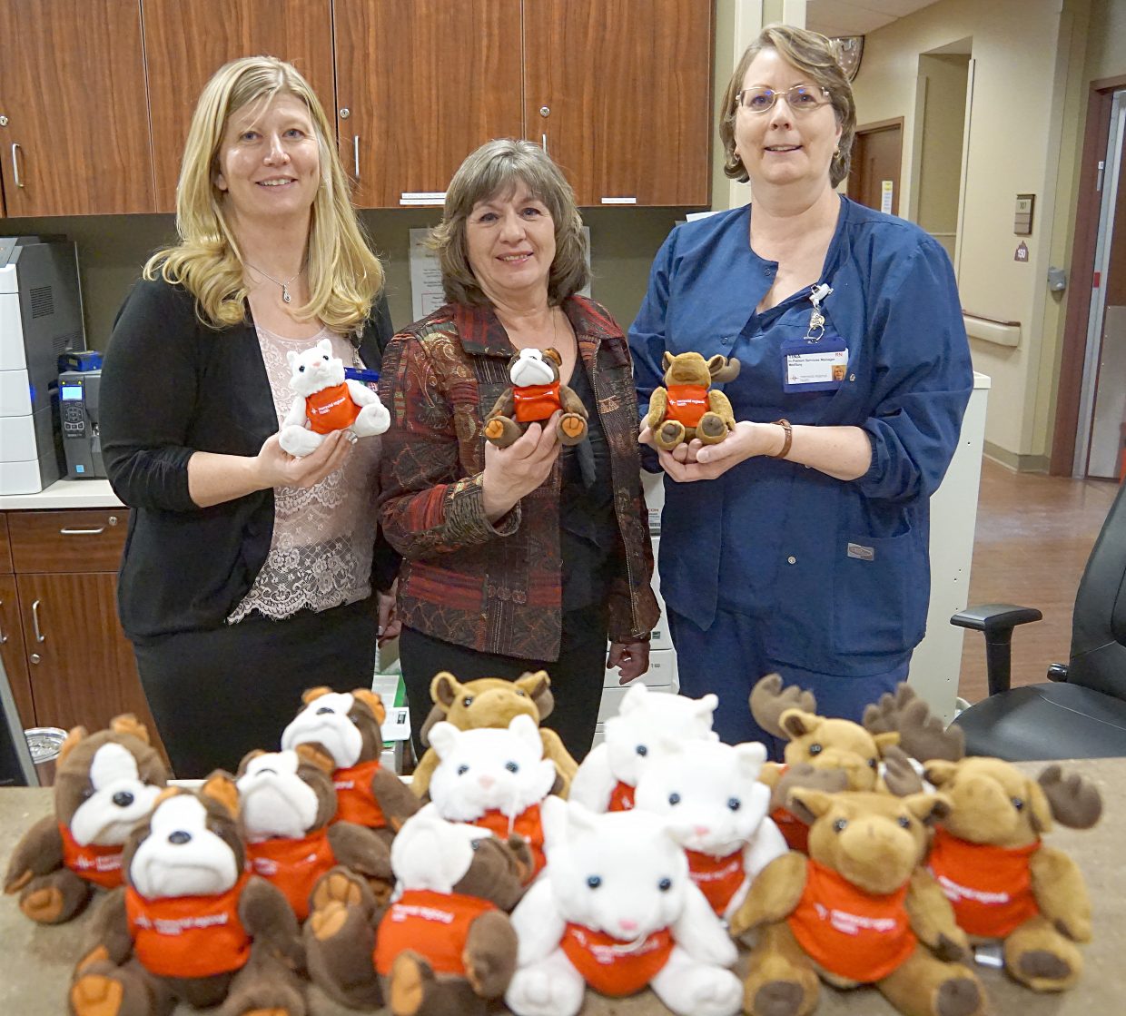 Plushies comfort pediatric patients staying at The Memorial Hospital at ...