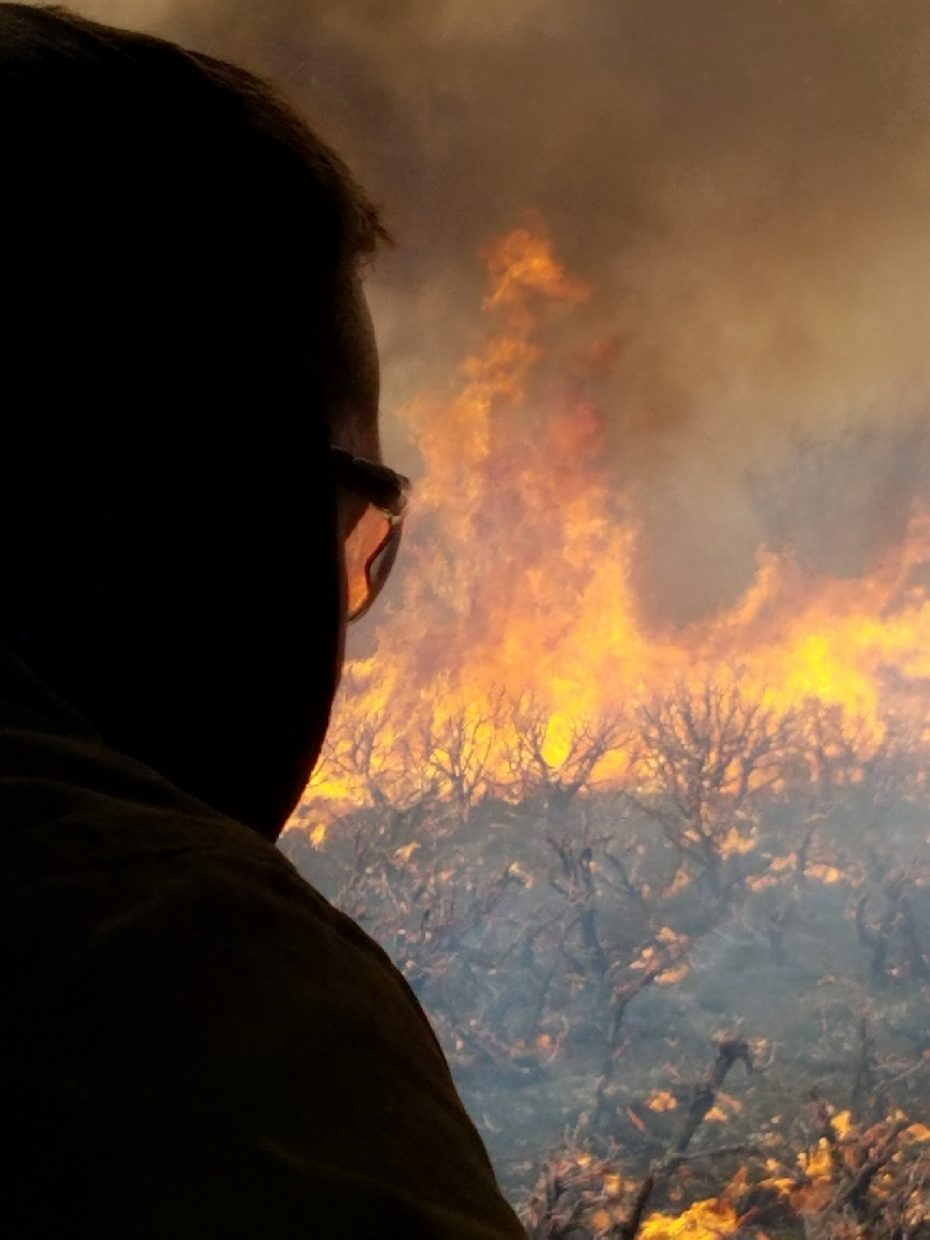 Summer 2018 Wildfire Report for July 10: Tally in Northwest Colorado ...
