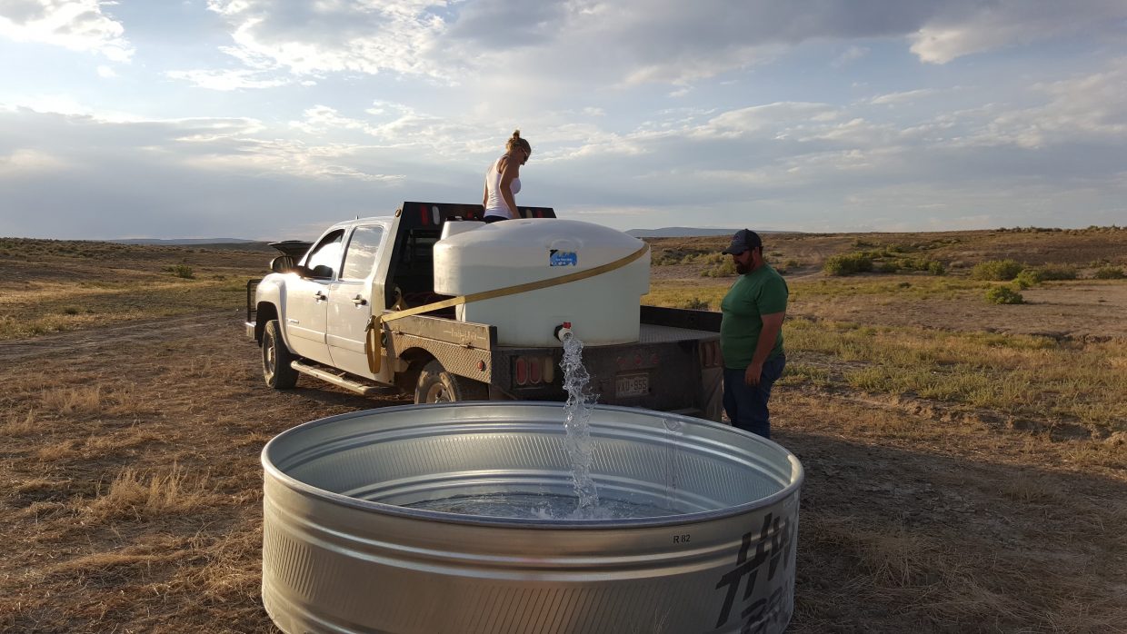 A tale of water and fire: Volunteers begin hauling water to horses in ...