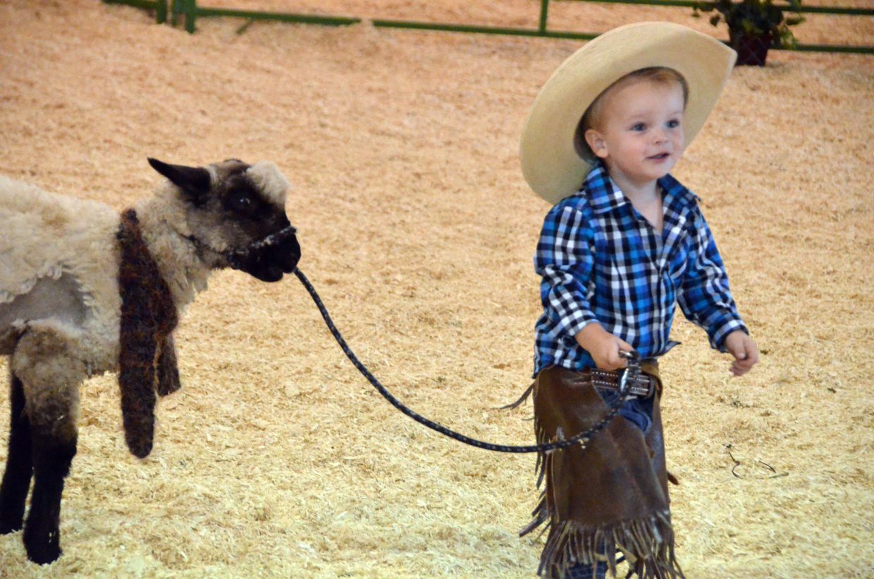 Country music, demolition derby, rodeo happenings all part of Moffat ...