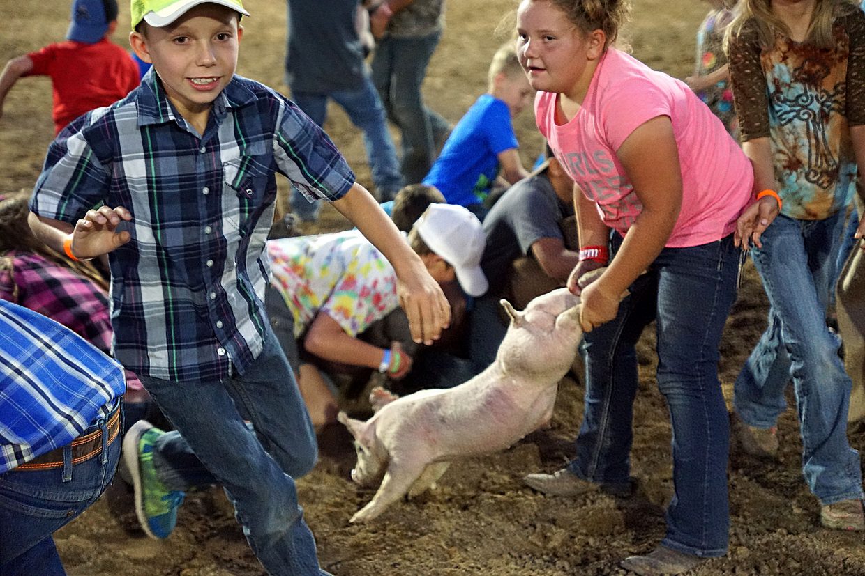 Kids go hog wild at 100th Moffat County Fair Catch-A-Pig Contest ...