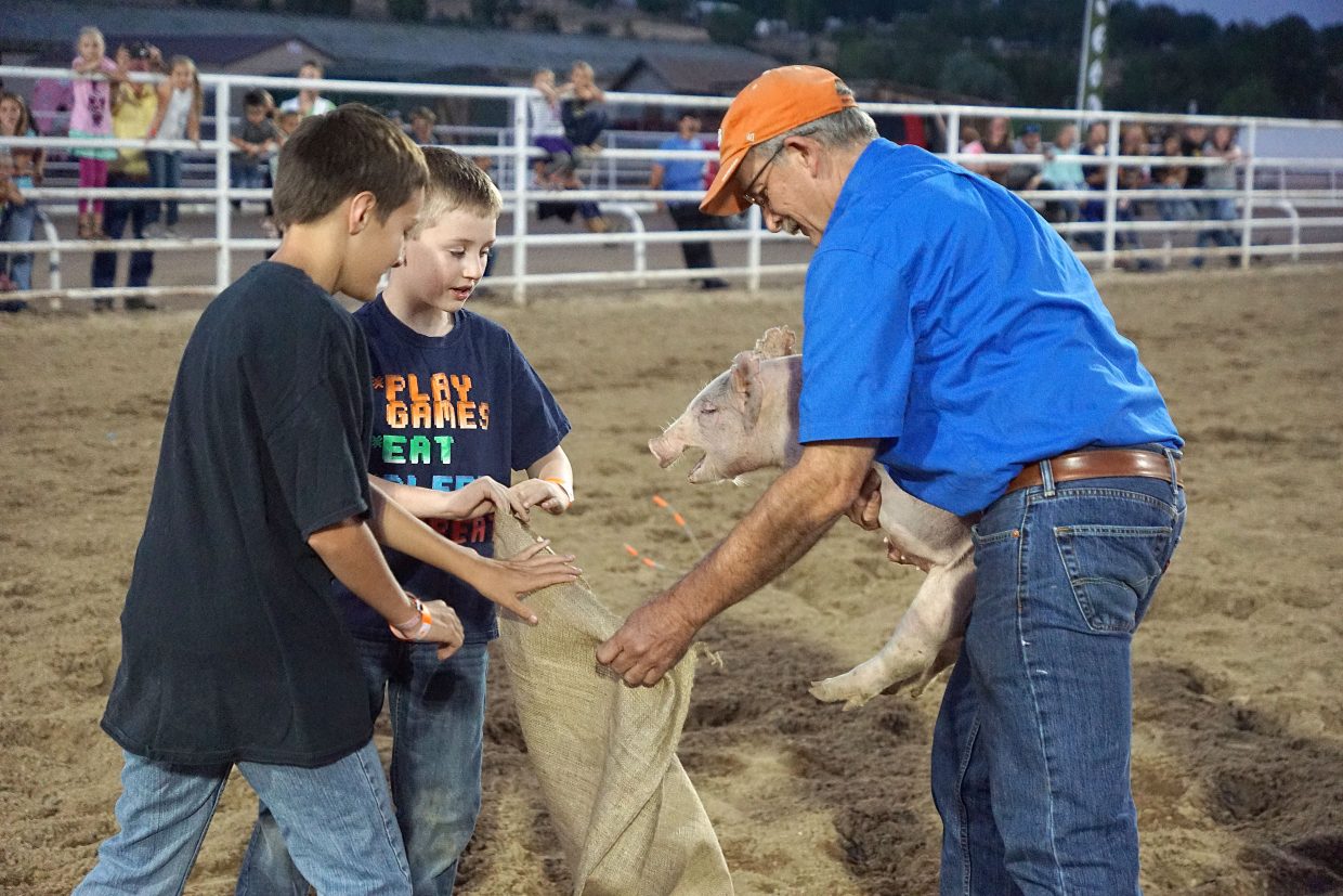 Kids go hog wild at 100th Moffat County Fair Catch-A-Pig Contest ...