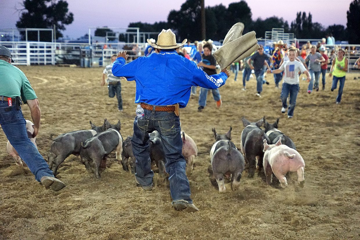 Kids go hog wild at 100th Moffat County Fair Catch-A-Pig Contest ...