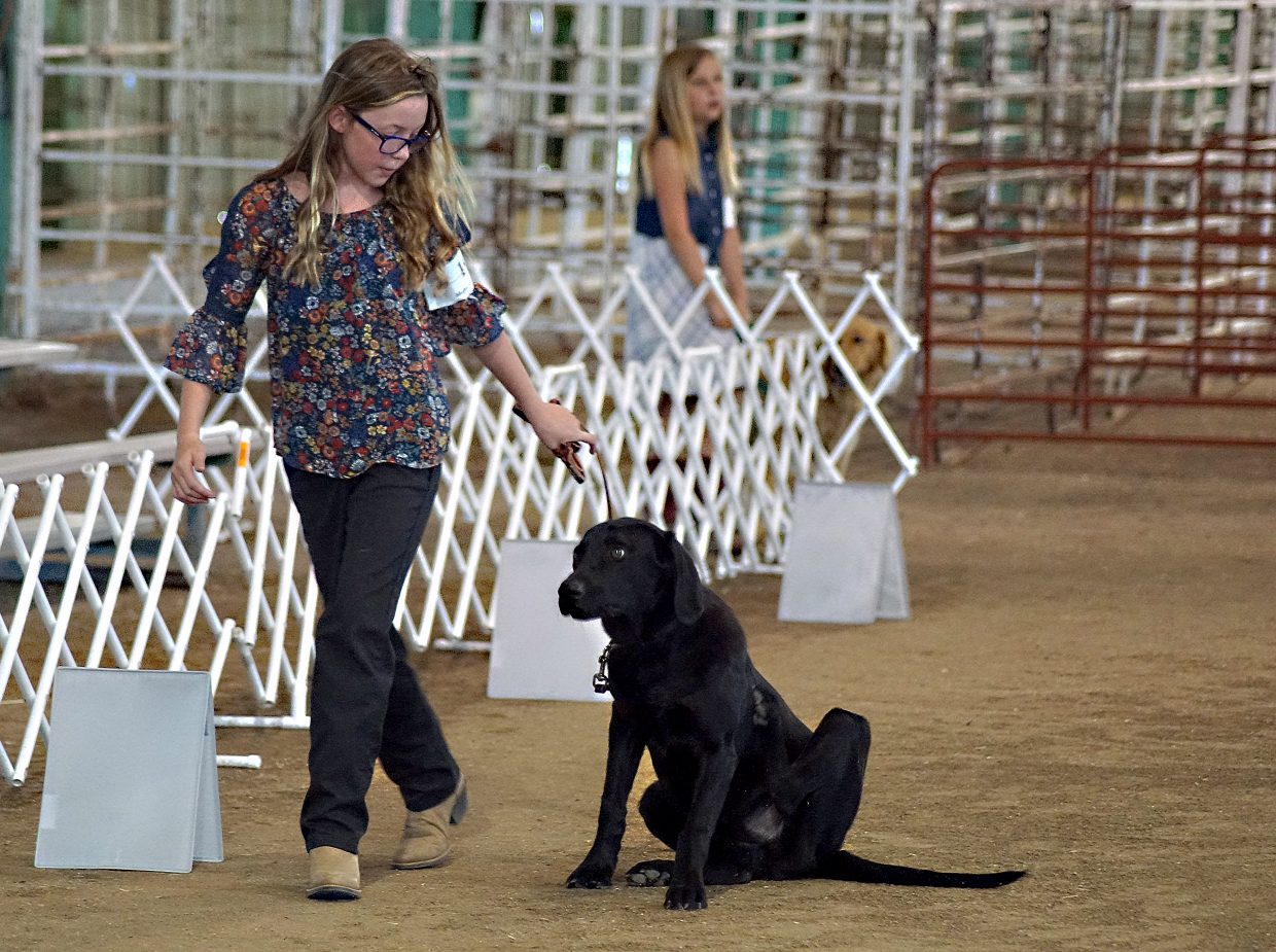 Dogs day at the 100th Moffat County Fair | CraigDailyPress.com