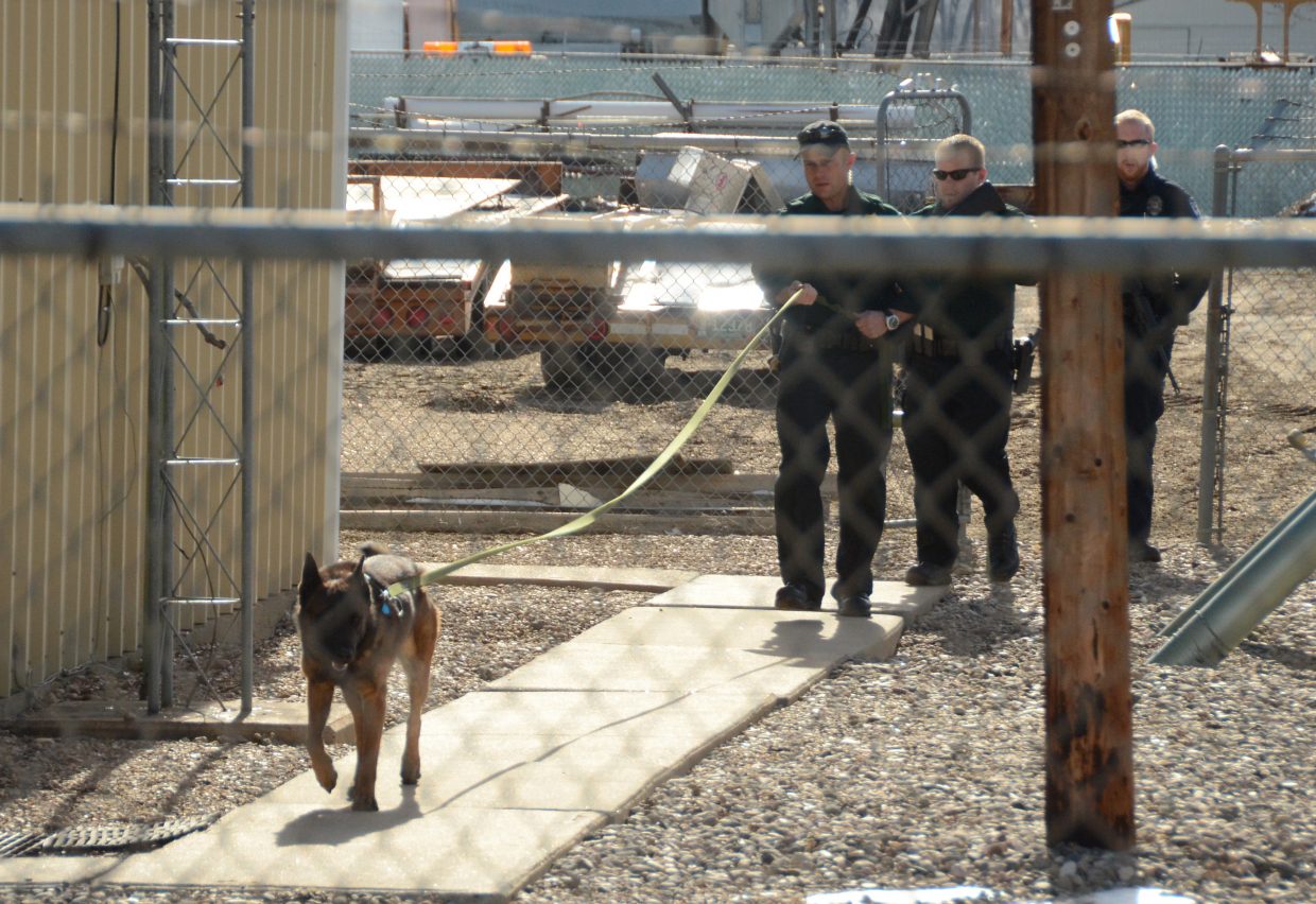 Moffat County Sheriff’s deputy helping train Craig’s new police dog ...