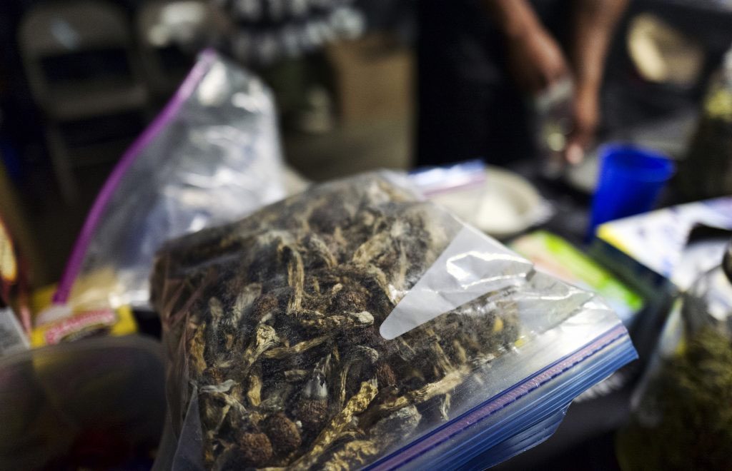 Denver first city in U.S. to decriminalize psychedelic mushrooms ...