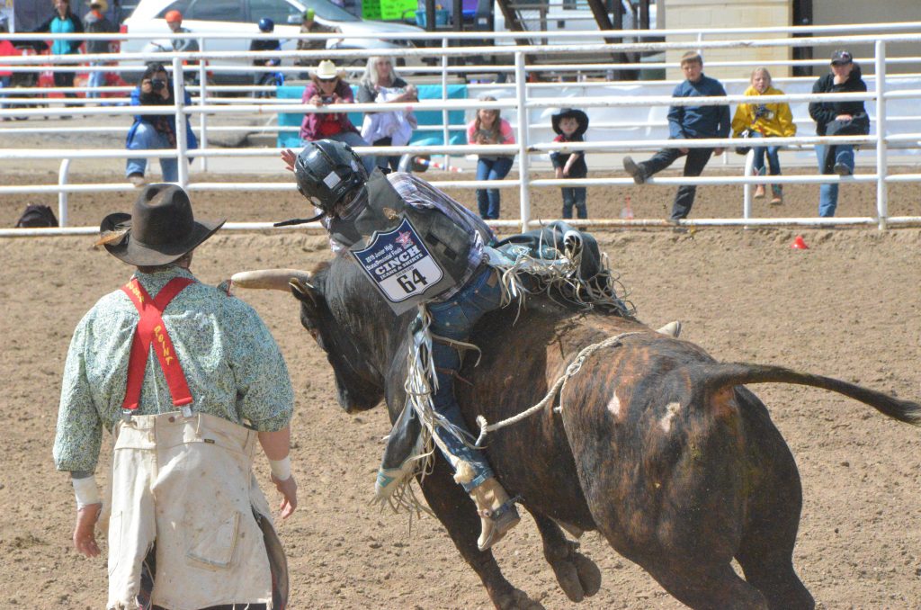 Moffat County bull riders lead state rodeo rankings | CraigDailyPress.com