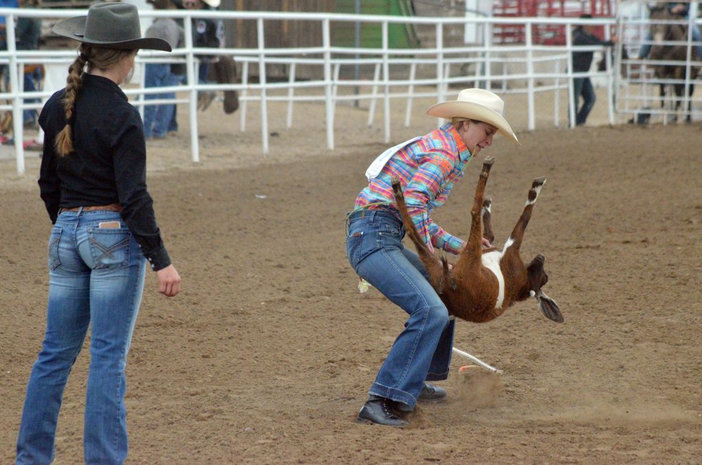 Moffat County’s Kinlie Brennise snares breakaway roping state title ...