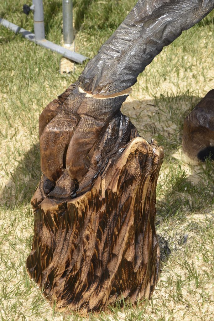 Dino disaster averted: Whittle the Wood’s damaged raptor carving to be ...