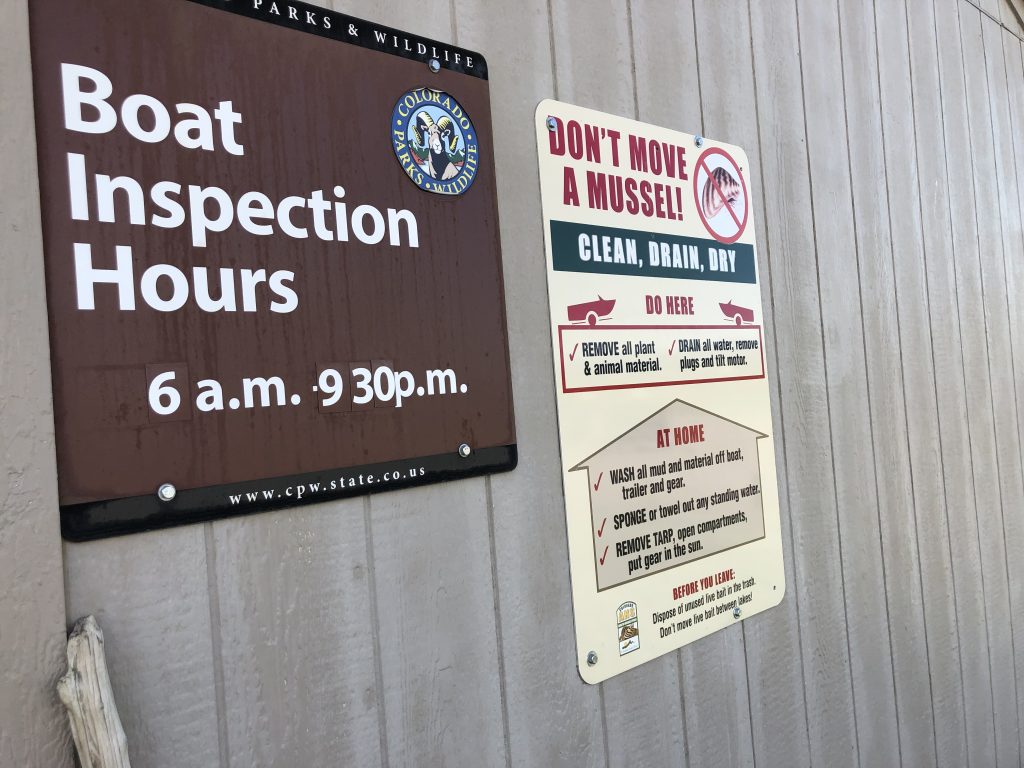 Don’t move a mussel: Boaters key to preventing dangerous infestation in ...