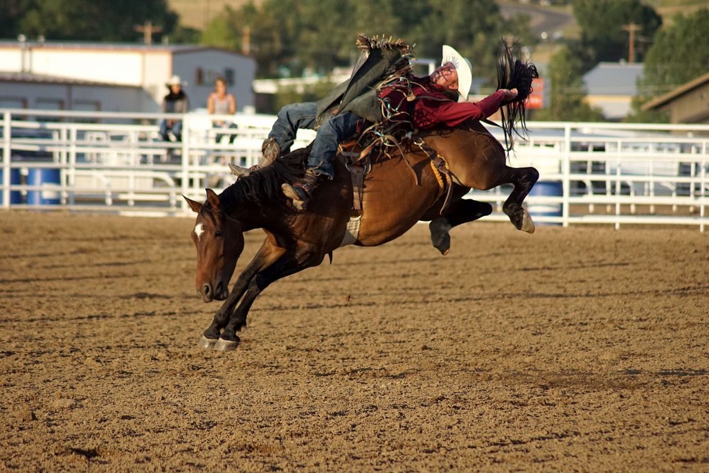 Rodeo rides as part of Moffat County Fair: Bulldog Sports — Week of Aug ...