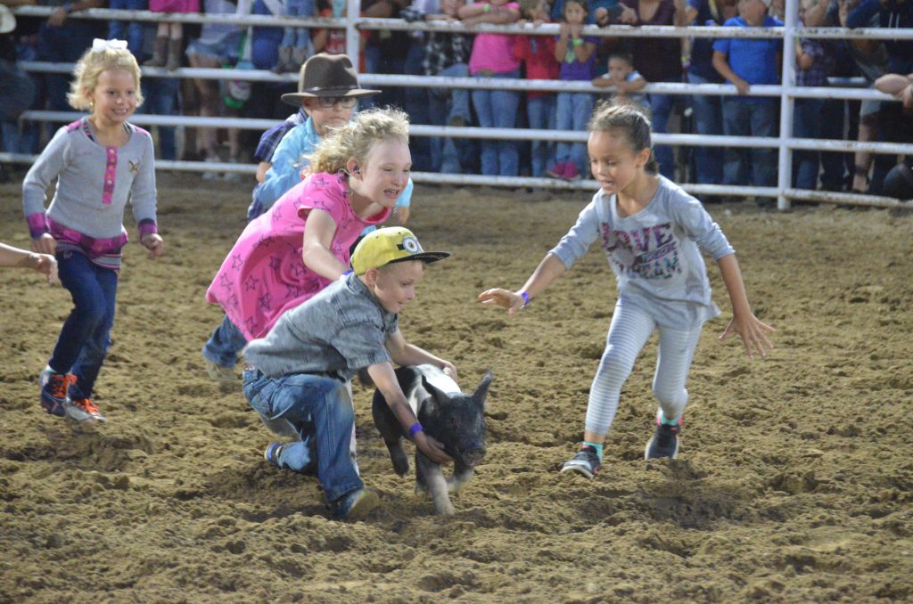 101 photos from the 101st Moffat County Fair | CraigDailyPress.com