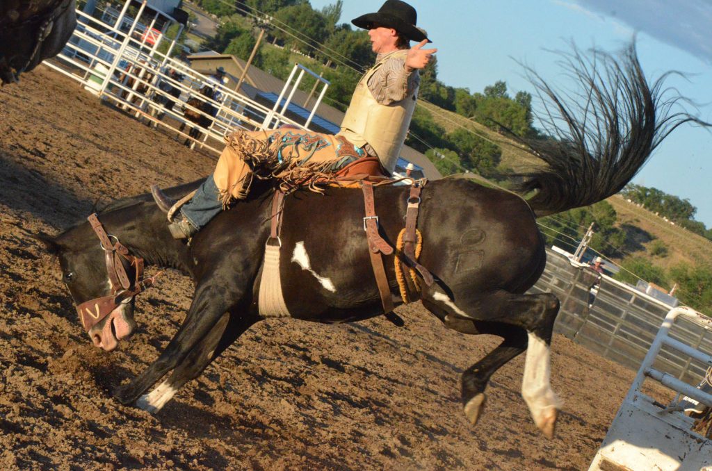 101 photos from the 101st Moffat County Fair | CraigDailyPress.com