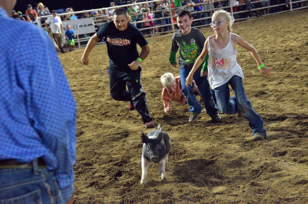 101 photos from the 101st Moffat County Fair | CraigDailyPress.com